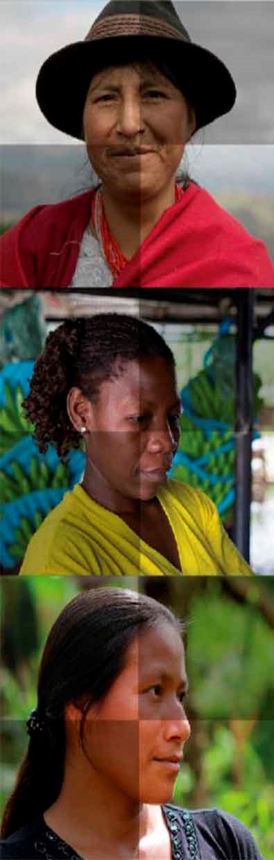 promo-afiche (2) | FENOCIN